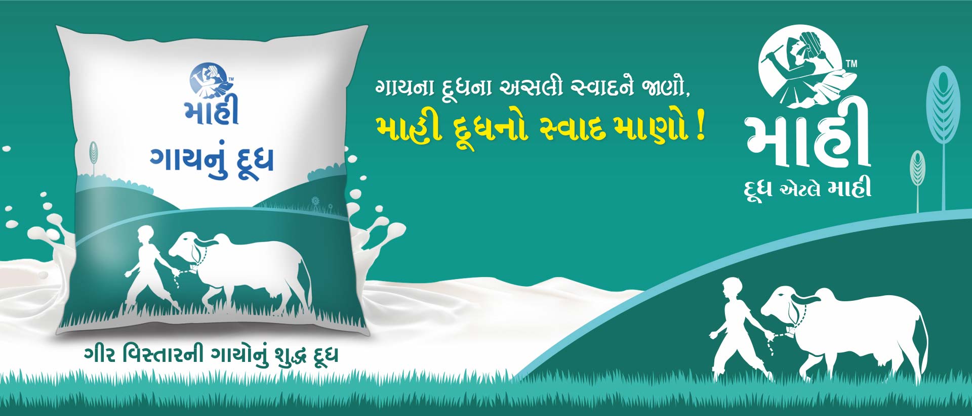 MaahiMilk, Maahi Product, Maahi Office in Rajkot - Maahi Milk Producer ...