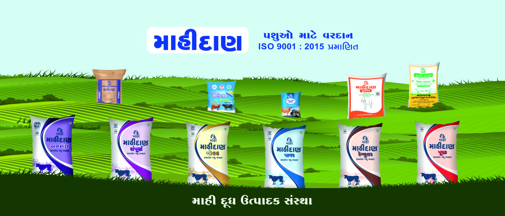 MaahiMilk, Maahi Product, Maahi Office in Rajkot - Maahi Milk Producer ...